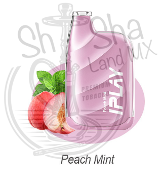 IPLAY X-BOX Peach Mint – Shisha Land Mx