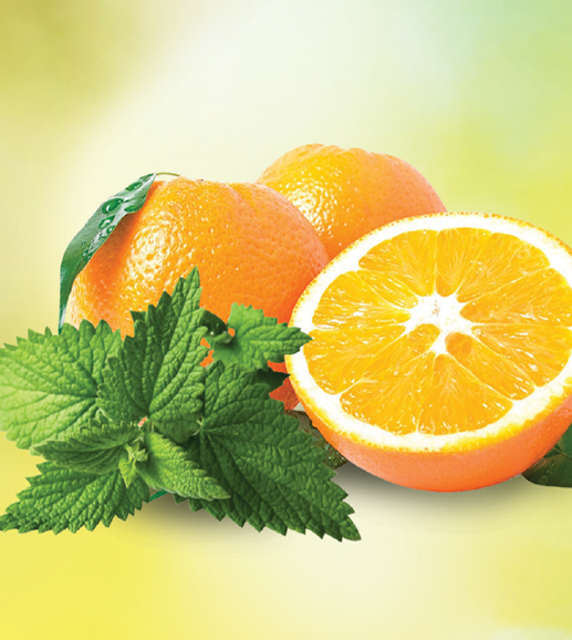 Orange Mint – Shisha Land Mx