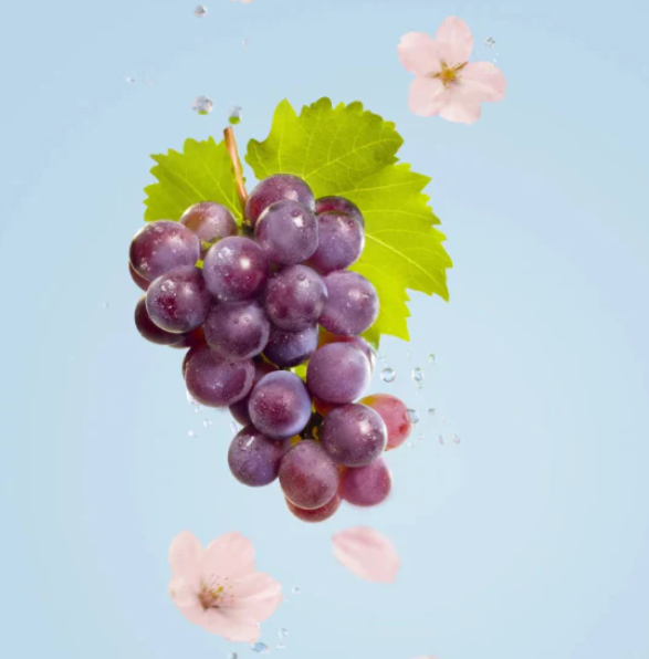 Waka MA6 Icy Sakura Grape (Pod) – Shisha Land Mx